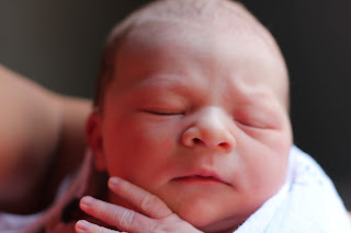 La Pura Vida : Asher Michael Toolson
