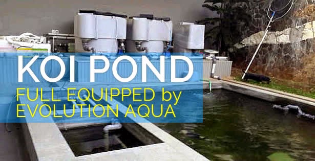 Waterdecor SPLASHNEWS - informasi seputar dekorasi air mancur, aquarium ...