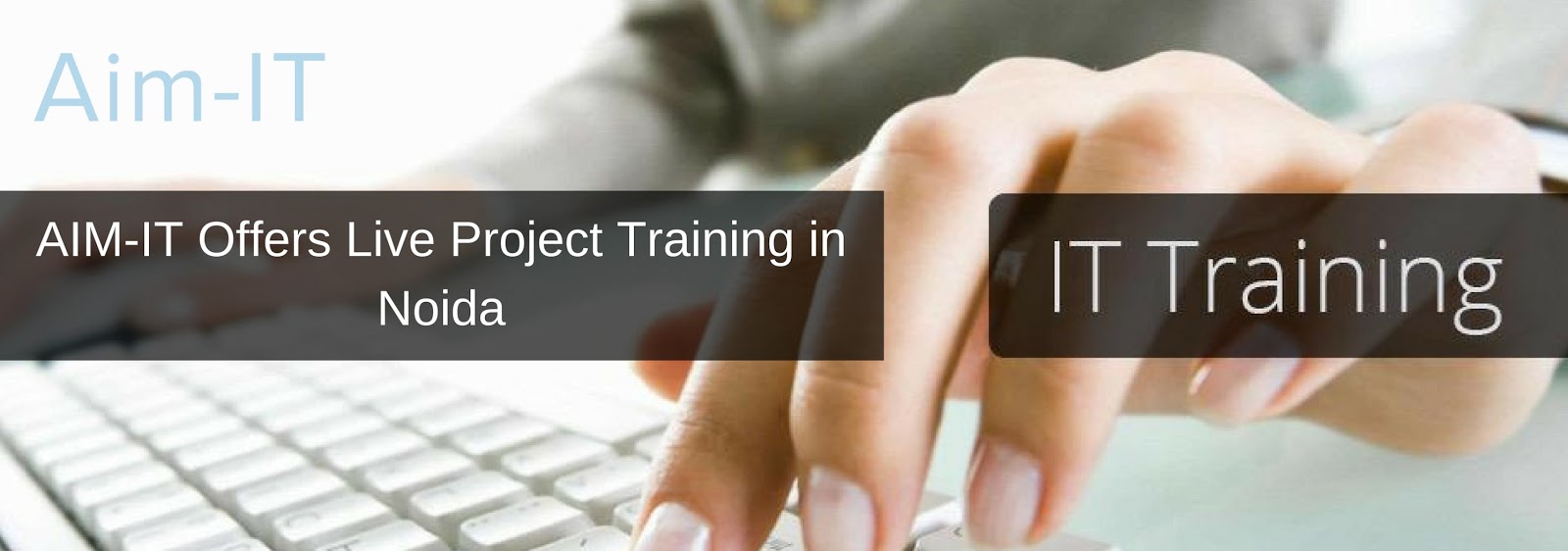 Affordable Software IT Training Institute in Noida: Web Design and ...