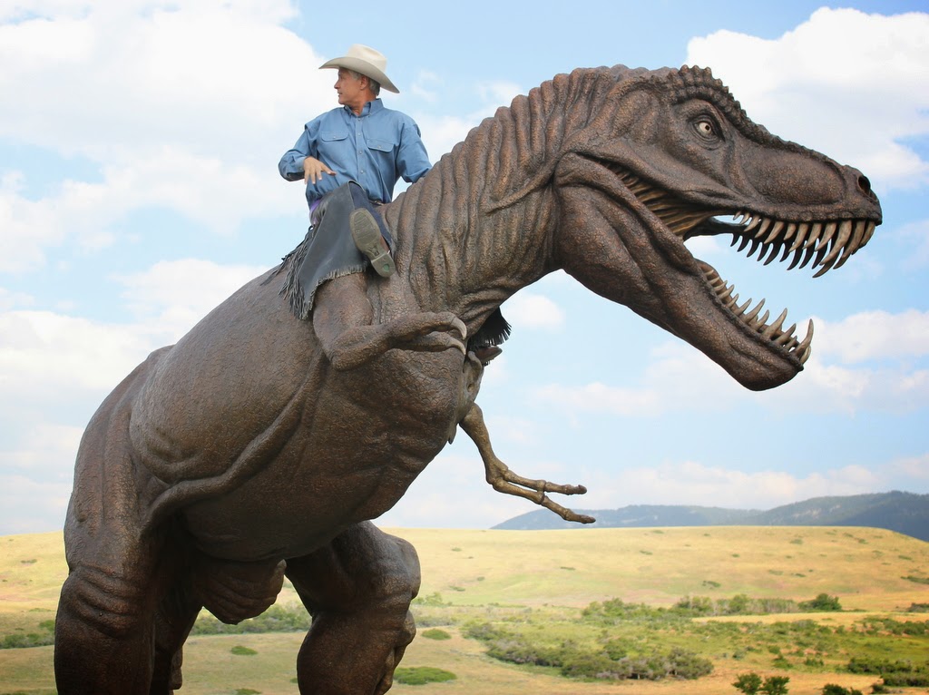 Chris Navarro Studio Blog: Looking for strays on Rex!