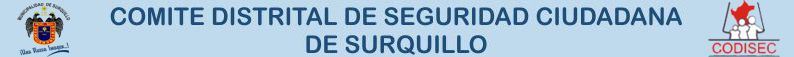CODISEC SURQUILLO 2011: CODISEC SURQUILLO