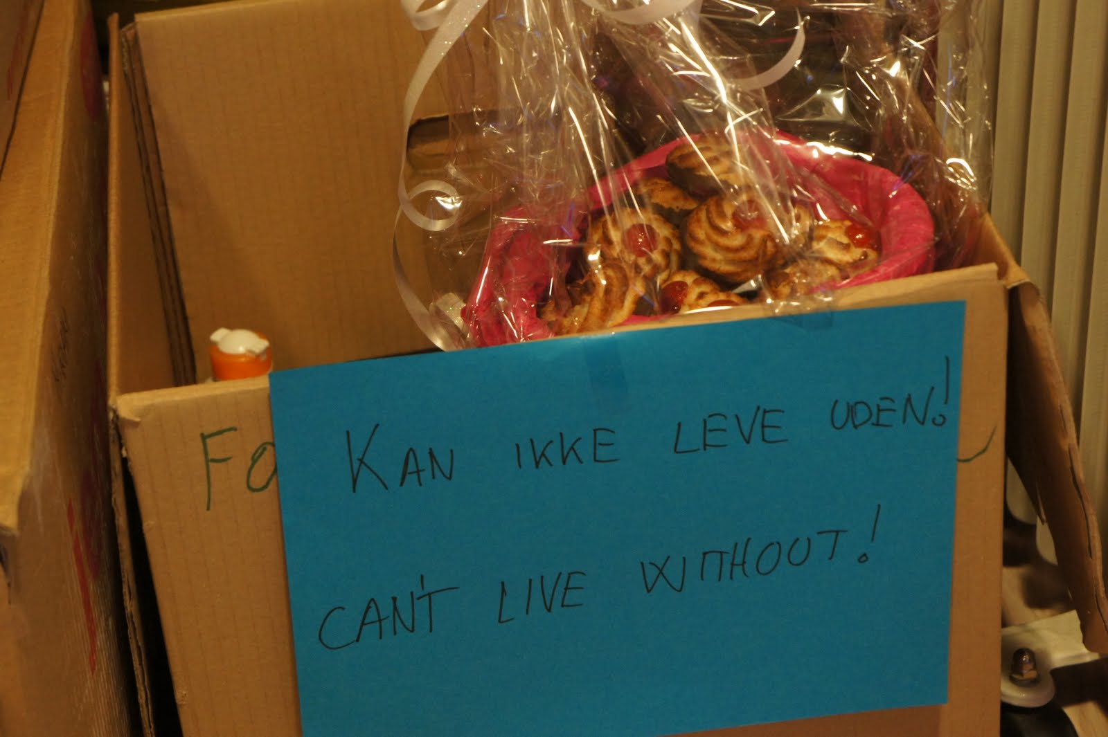 Livet som aupair: En længeventet update, farvel-fest, sandwich'es ...