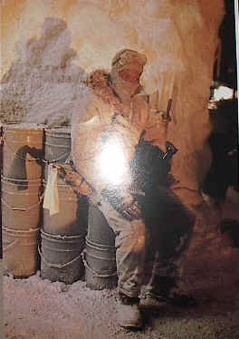 The Original Fan: NAULS IN BLACK AND WHITE