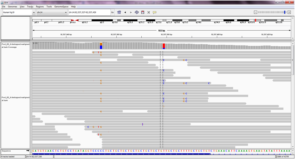一直很安静: GATK HaplotypeCaller INDEL calling