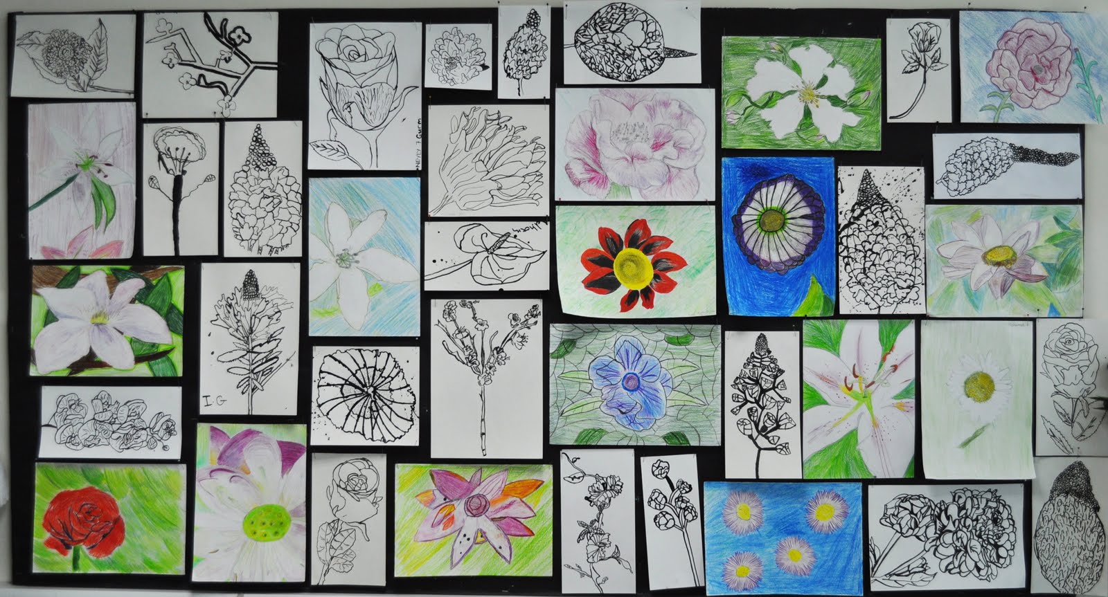 I teach art: Flower Drawings