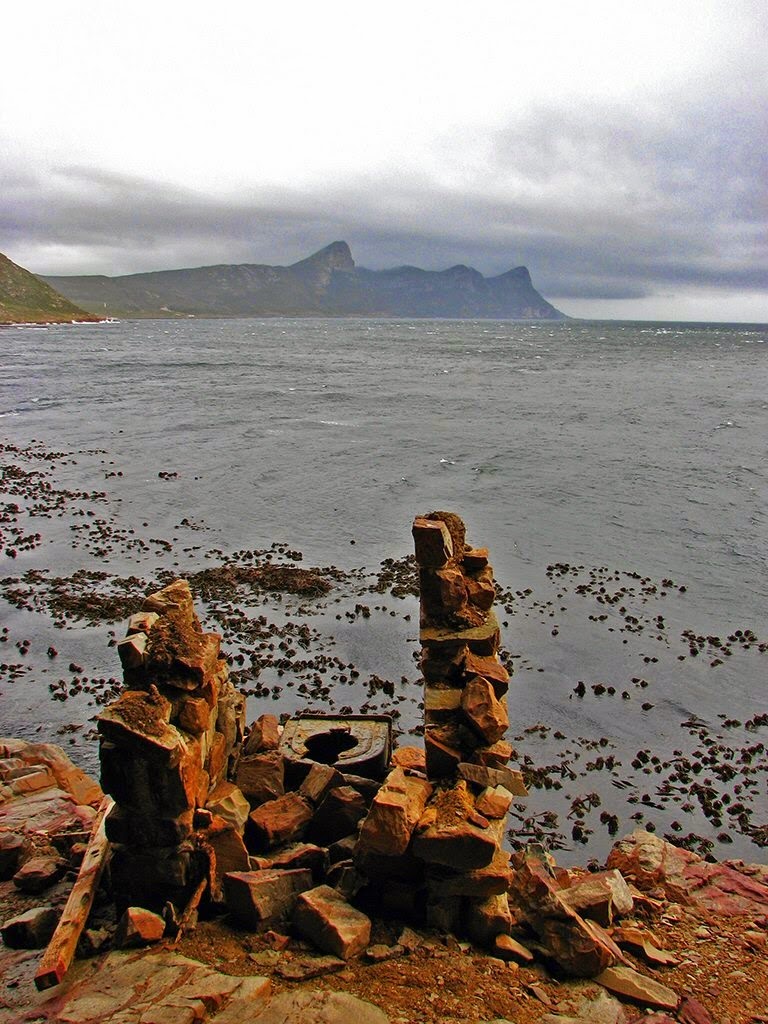 Cape Point Nature Reserve: Rooikrans II