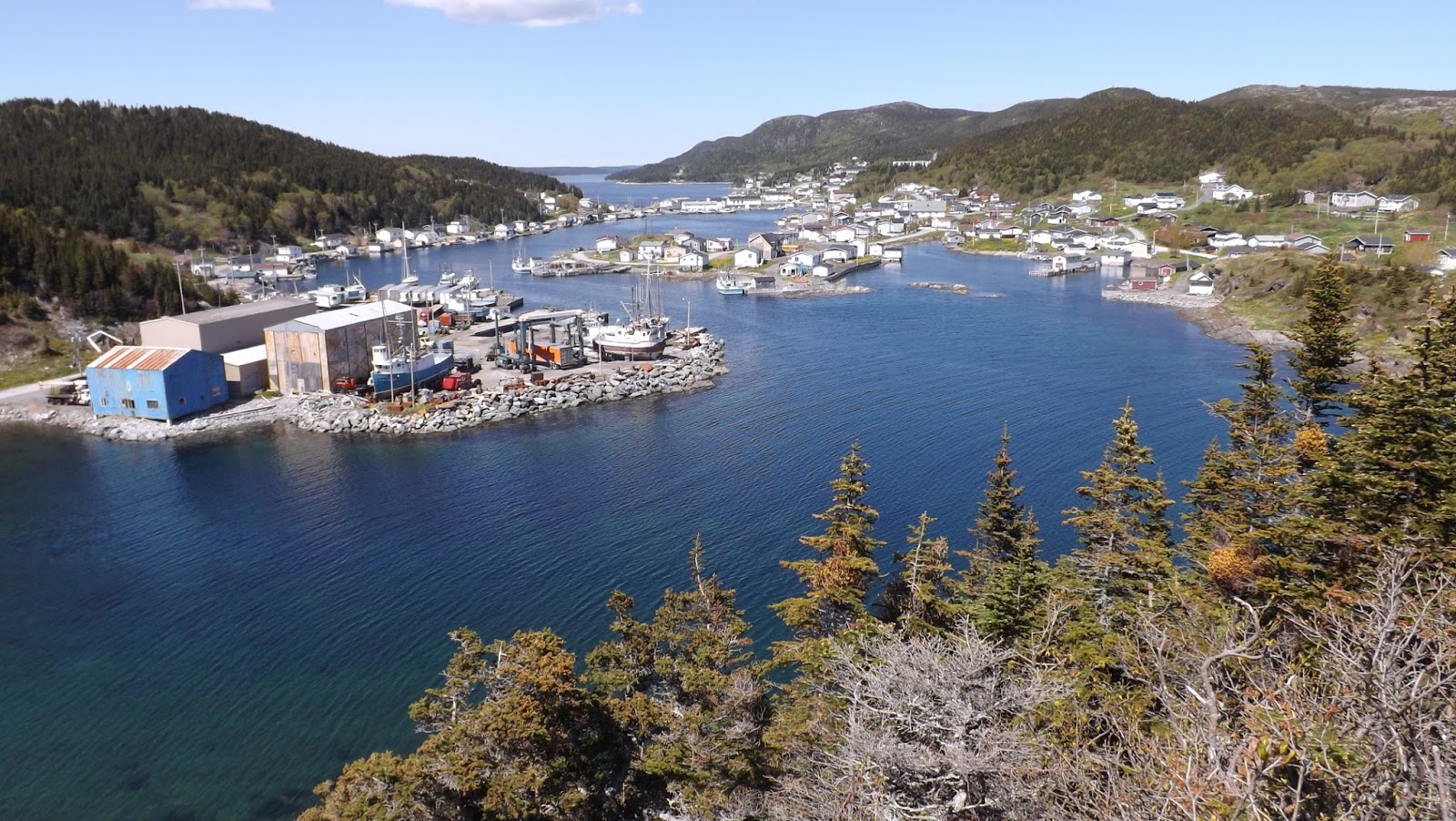 Roadside Chronicles: Life On The Road: DAY 32 Port Aux Chois to Quirpon