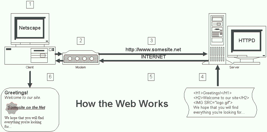 Web server scripting: Introduction to web servers