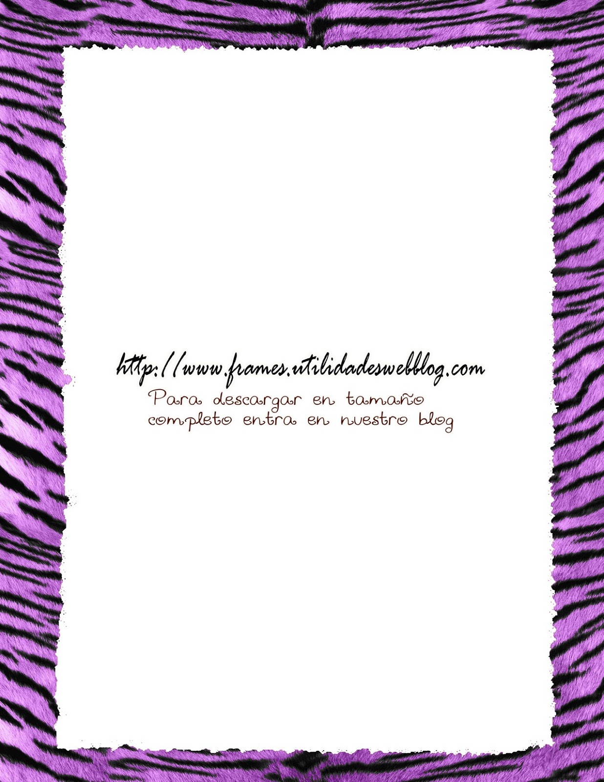 6 Marcos para fotos Animal Print de distintos colores | Photo Frames