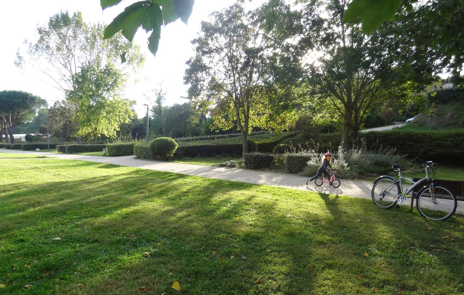 Sibellule: Parc des Ramiers (Blagnac)