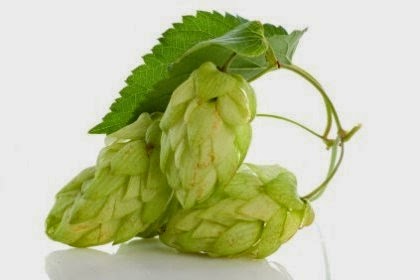 Phạm Hoài Nhân: La De - Biere Larue