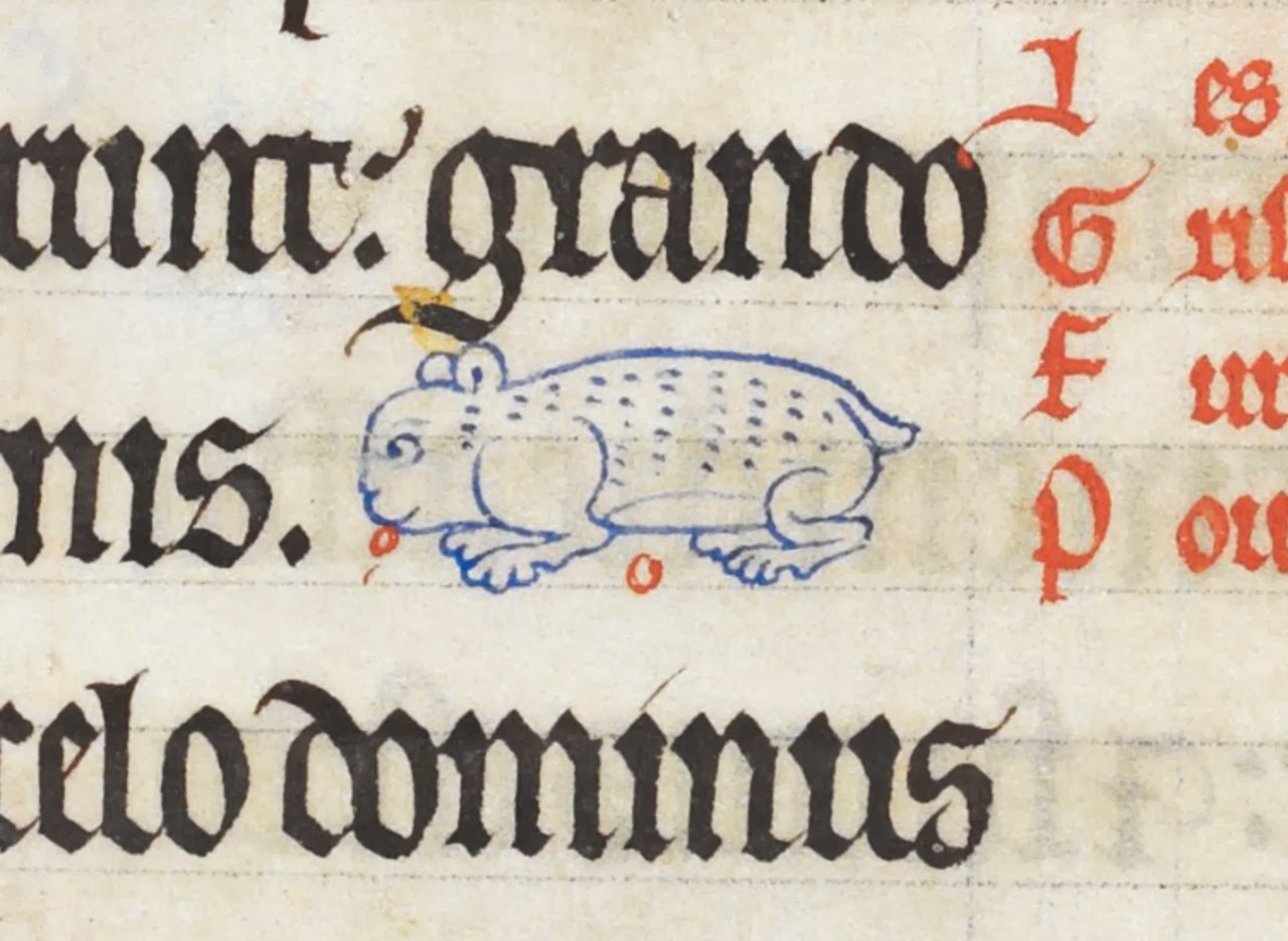 The Pet Museum: the lives times art and history of our pets: medieval ...