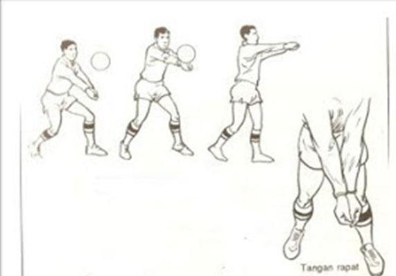 Teknik Dasar dalam Permainan Bolavoli | Kumpulan Info Pendidikan dan ...