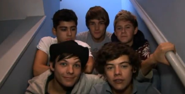 1d video diary - atiladubai