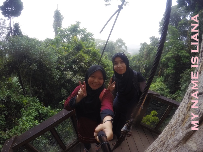 my name is liana: [travelogue] Canopy Walk & Poring Hot Spring, Ranau ...
