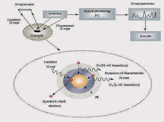 Tumbuhan Obat dan Sains: X-Ray XRF in Universitas Negeri Padang