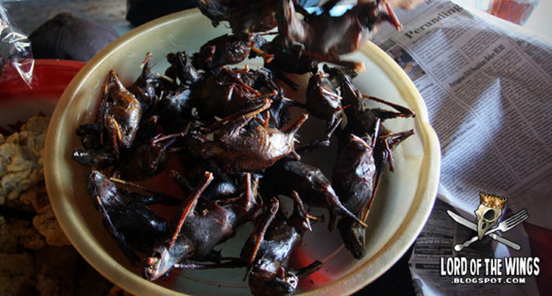 LORD of the WINGS (or how I learned to stop worrying and love the ...