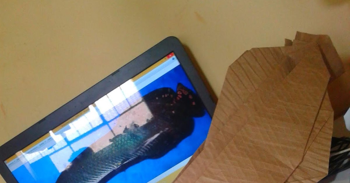 Junior Javier Vivanco Garcia - ORIGAMI ICA-PERÚ