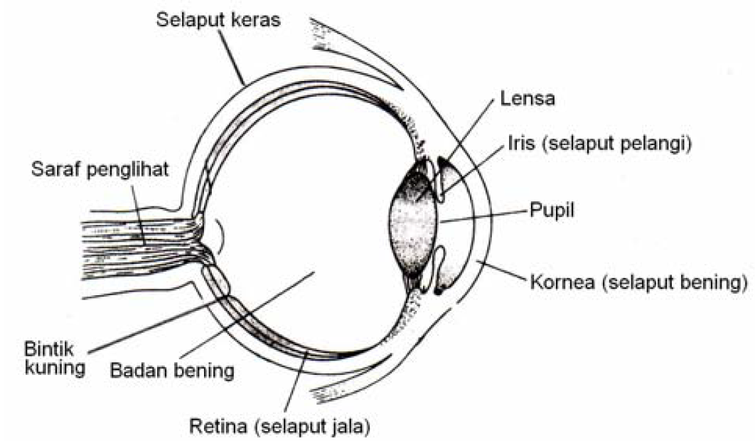 MEKANISME | One for all