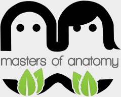 Be Awesome: Masters of Anatomy