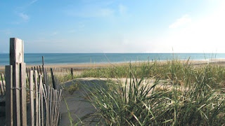 Good Morning Schizz, Have A Good Day Sweetheart!