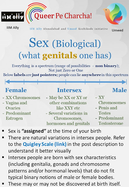 Queer Pe Charcha Sex