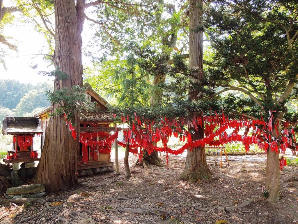 A Curmudgeon Abroad : Japan and Taiwan: Day 9 - Cycling with legends in ...