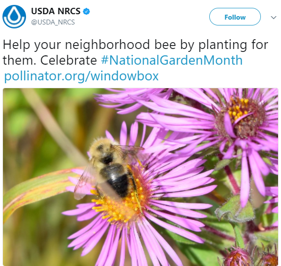Earth and Space News: North American Bumblebee Gardens for North ...