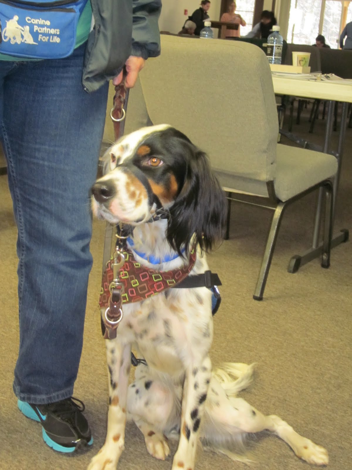 Susquehanna Service Dogs: Building a Relationship with Dogs: ADI North ...