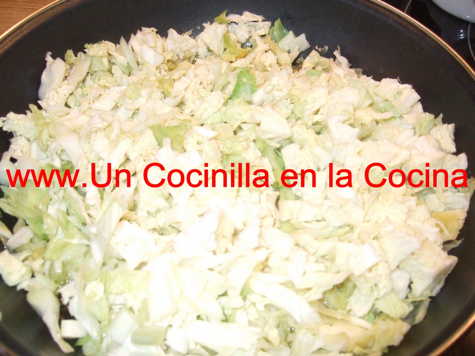 Repollo Frito · Recetas Que Nunca Fallan