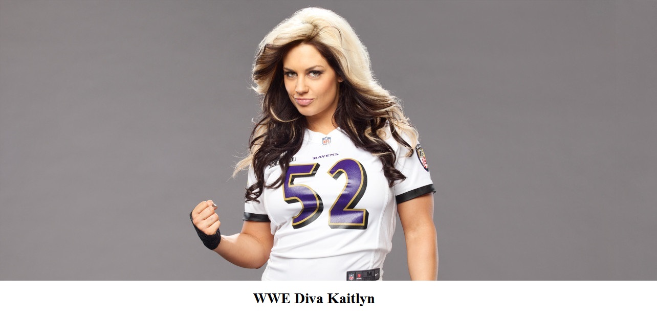 Blog of Epicness: WWE Announces New Diva Search