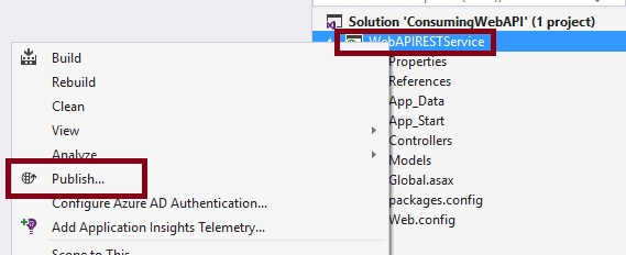 How To Publish ASP.NET Web API REST Service In File System