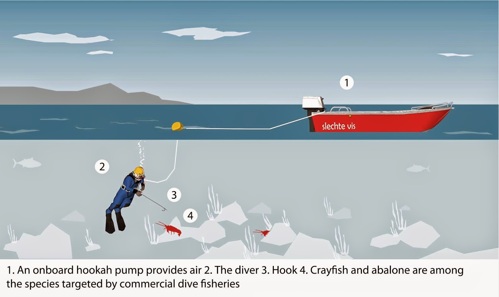 Fishing Techniques ~ FOKUS MANCING