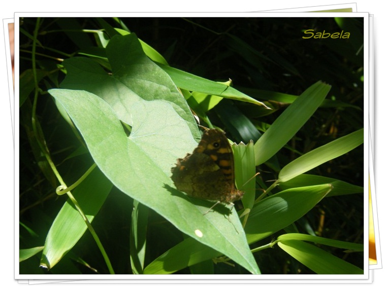 Un rincón para el atardecer: agosto 2012