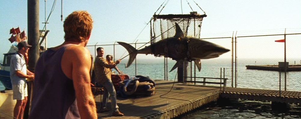 Todo El Terror Del Mundo: Deep Blue Sea (Alerta En Lo Profundo ...