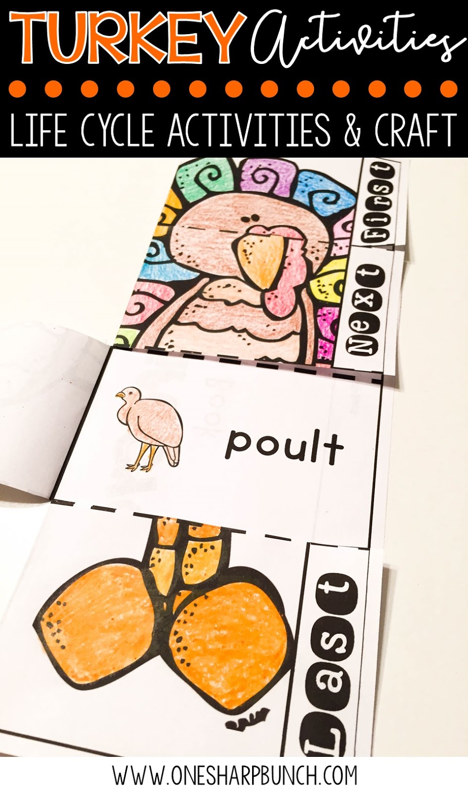 Turkey Life Cycle Activities - One Sharp Bunch