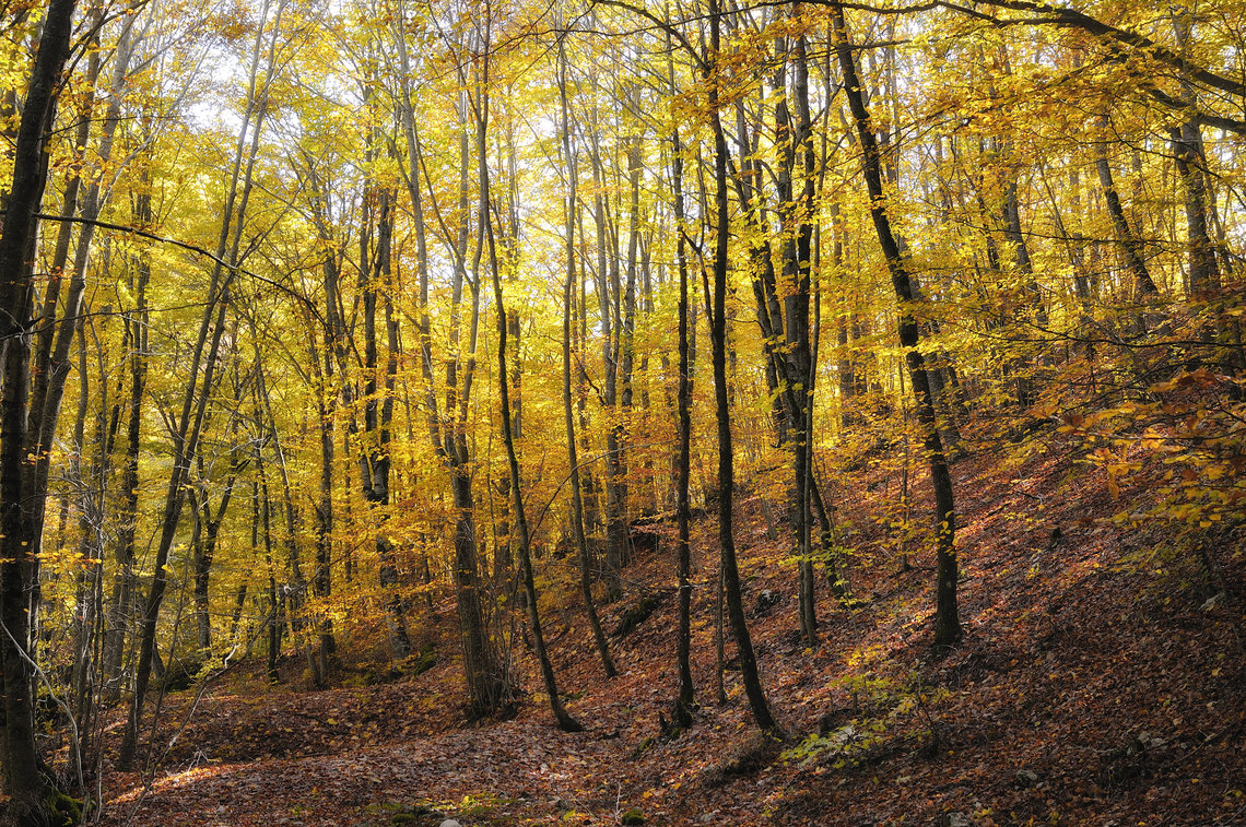 Gallery - Life style in Abruzzo and Molise regions.