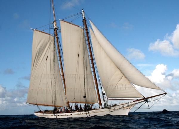 Ericson 25, Oystercatcher: Rigging, Standing, Mast Compression Post, Repair