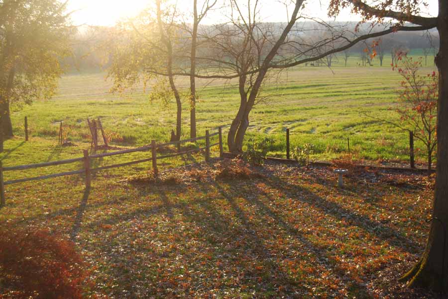 Lew's Other Pics: Light and shadows - Morning sun