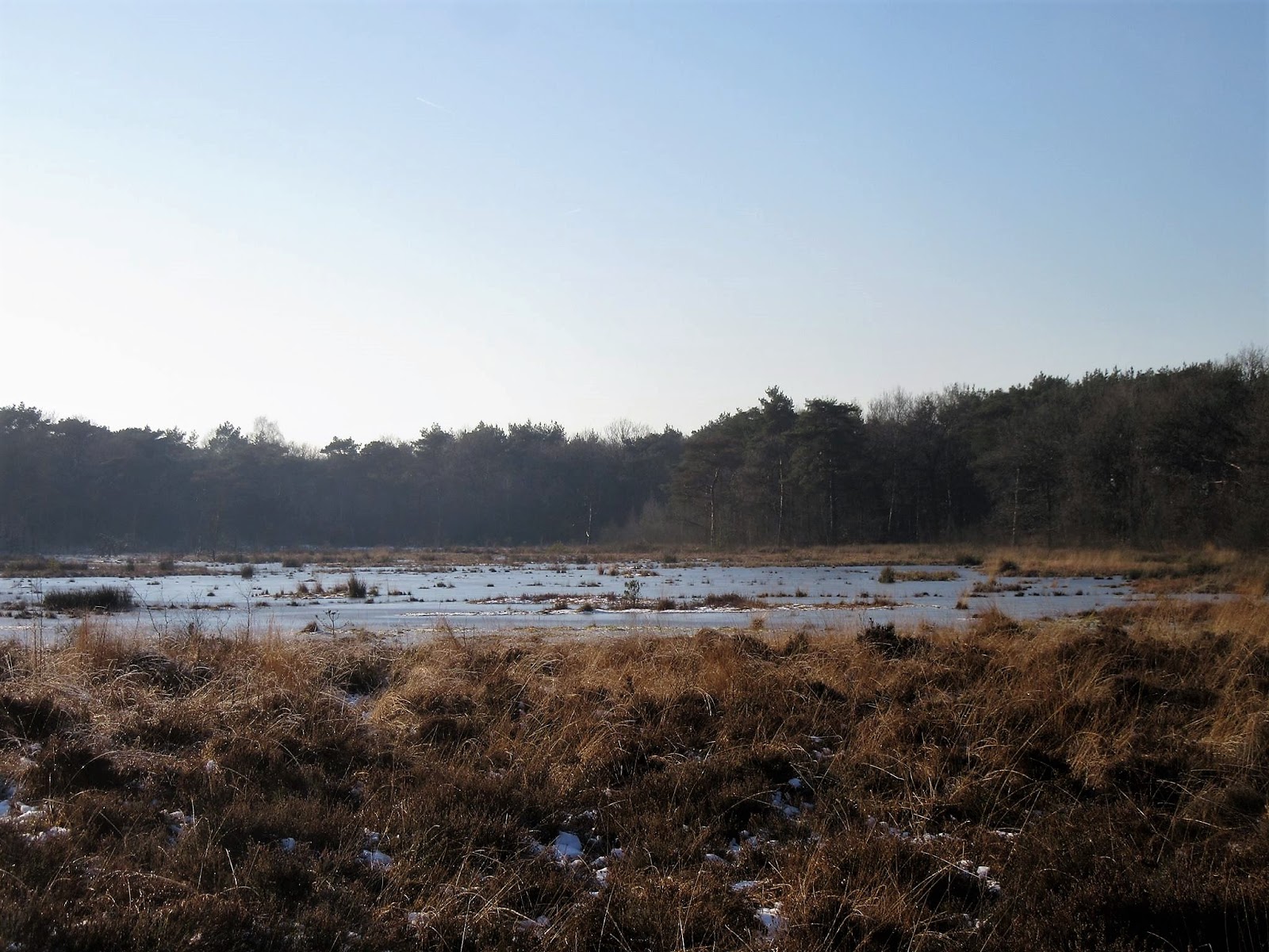 Mooiste Routes: Wandelen bij Ruinen (Drenthe)