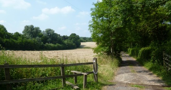 Hertfordshire Walker: Walk 25: Little Berkhamsted Loop