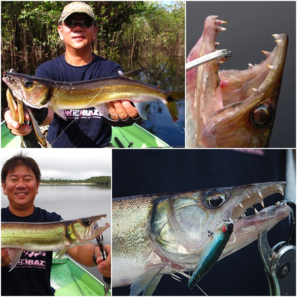 ANGLING WORLD 魔魚釣界: Adventure Fishing @ Amazonia Rio Negro