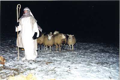 The Sheep Whisperer: Sheep Baa's & the Bible!