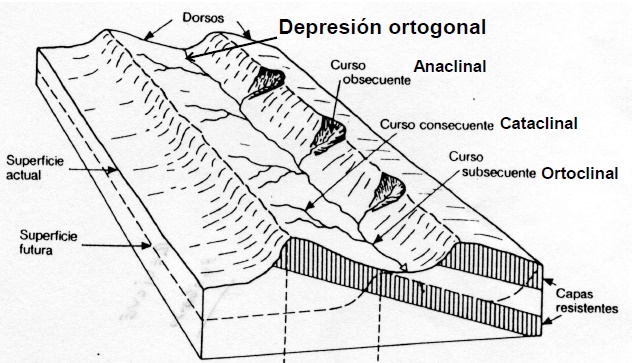 LUGAR VERDE: FORMAS ESTRUCTURALES ELEMENTALES Y PLEGADAS
