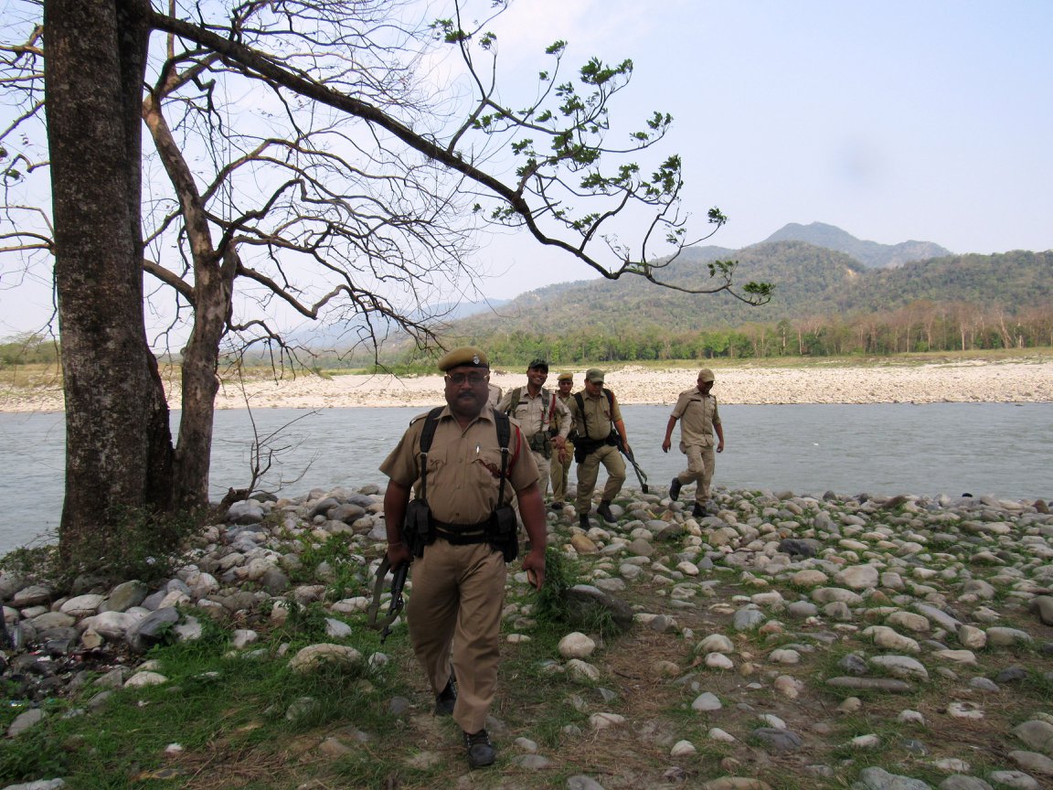 Life is amazing - enjoy it: Manas National Forest diary