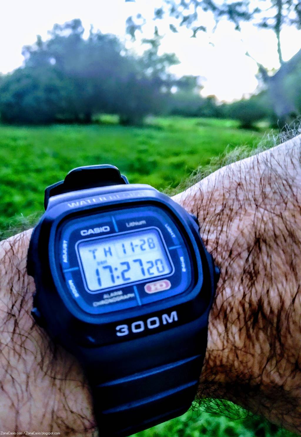 Zona Casio: Galería de los lectores (19)