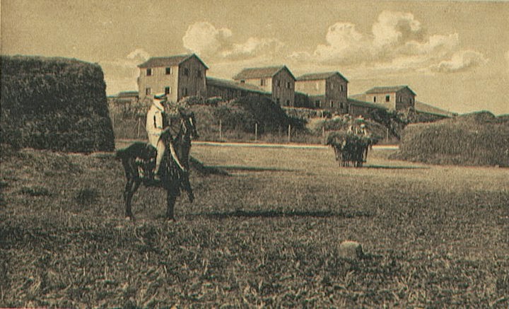 Rare photos of Second Aliyah ~ Elder Of Ziyon - Israel News