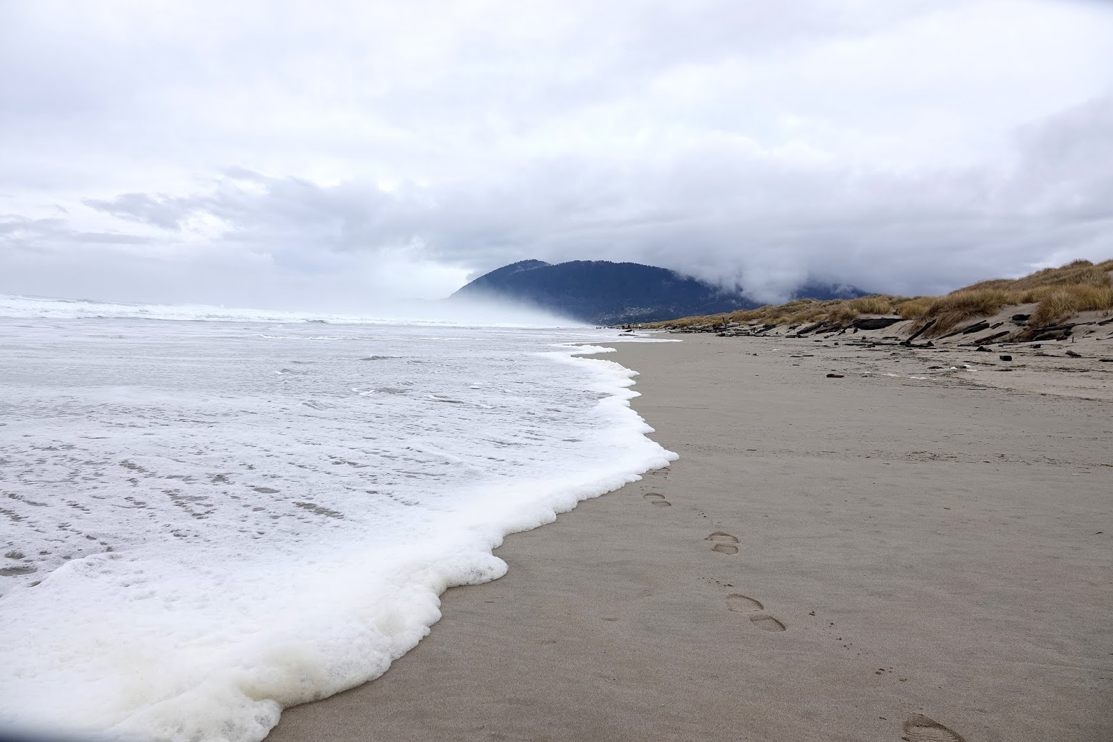 Cannon Beach Birder: Nehalem Bay State Park