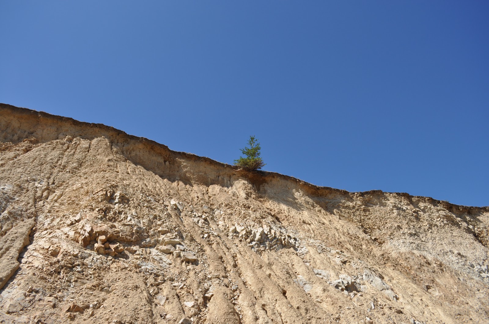Poze, Natura, Animale, Plante, Romania, Valcea, Ionut Ungureanu