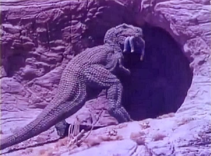 The Bloody Pit of Horror: Planet of Dinosaurs (1977)